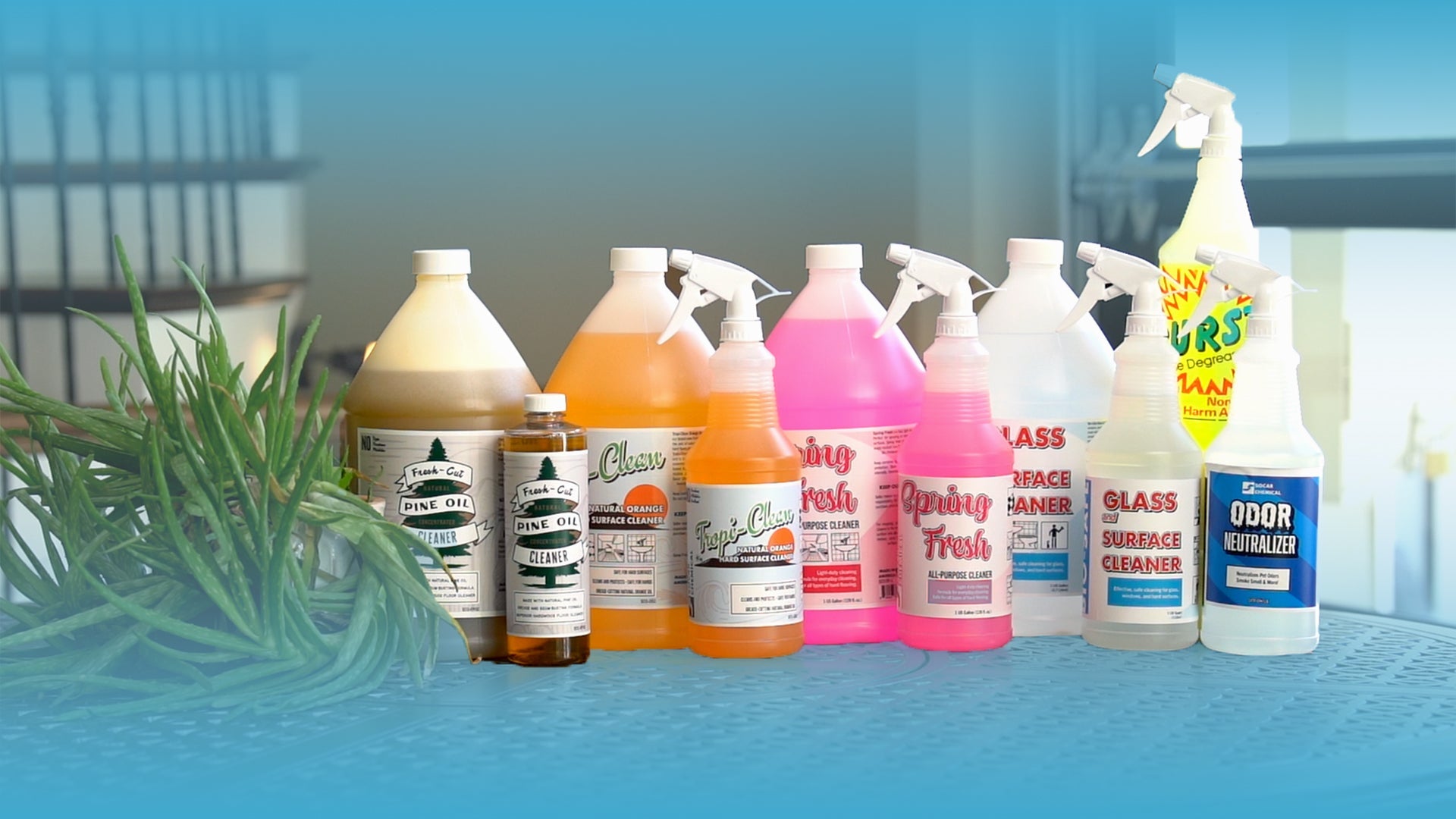 Household Cleaners – Socar Chemical